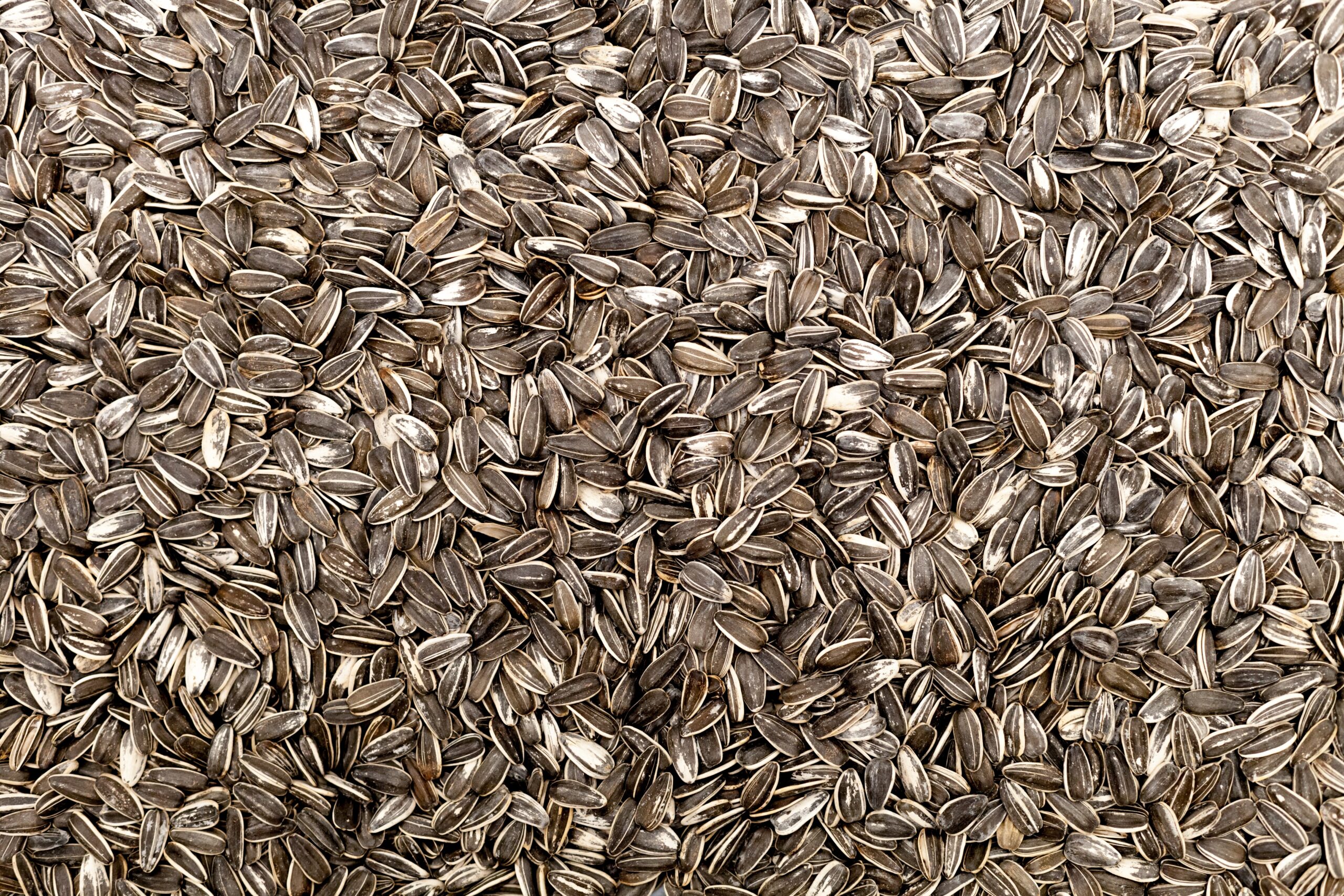 Task and Labor Risk Mapping: Hybrid Corn and Sunflower Seeds in Romania ...