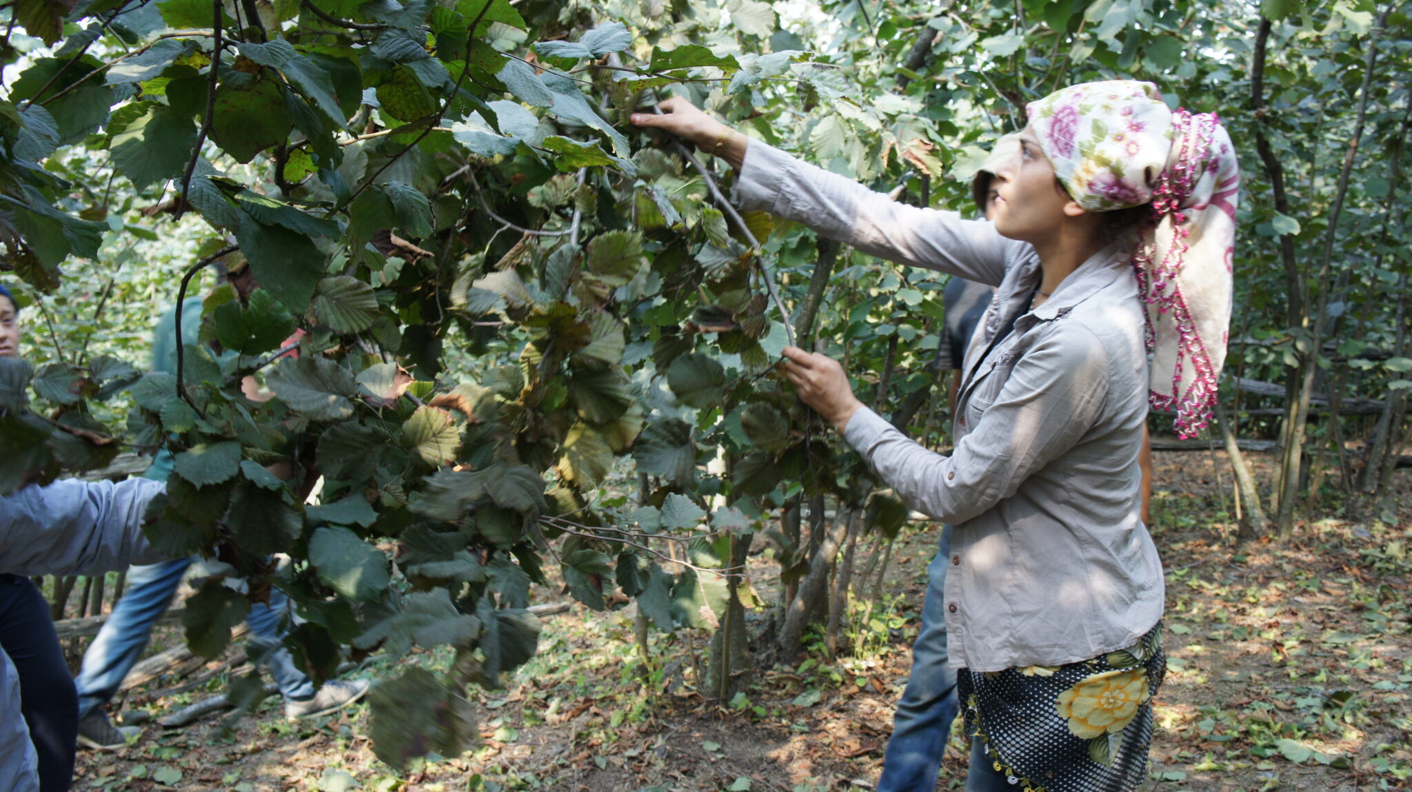 Standards - Fair Labor Association