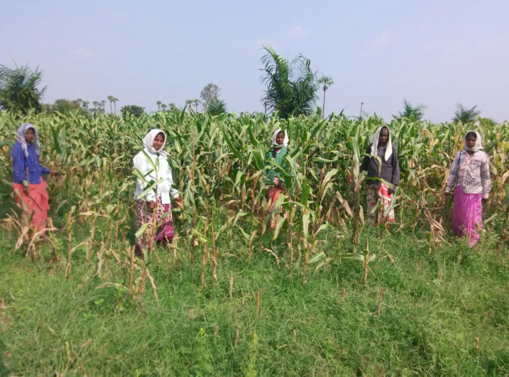 Assessments - Fair Labor Association