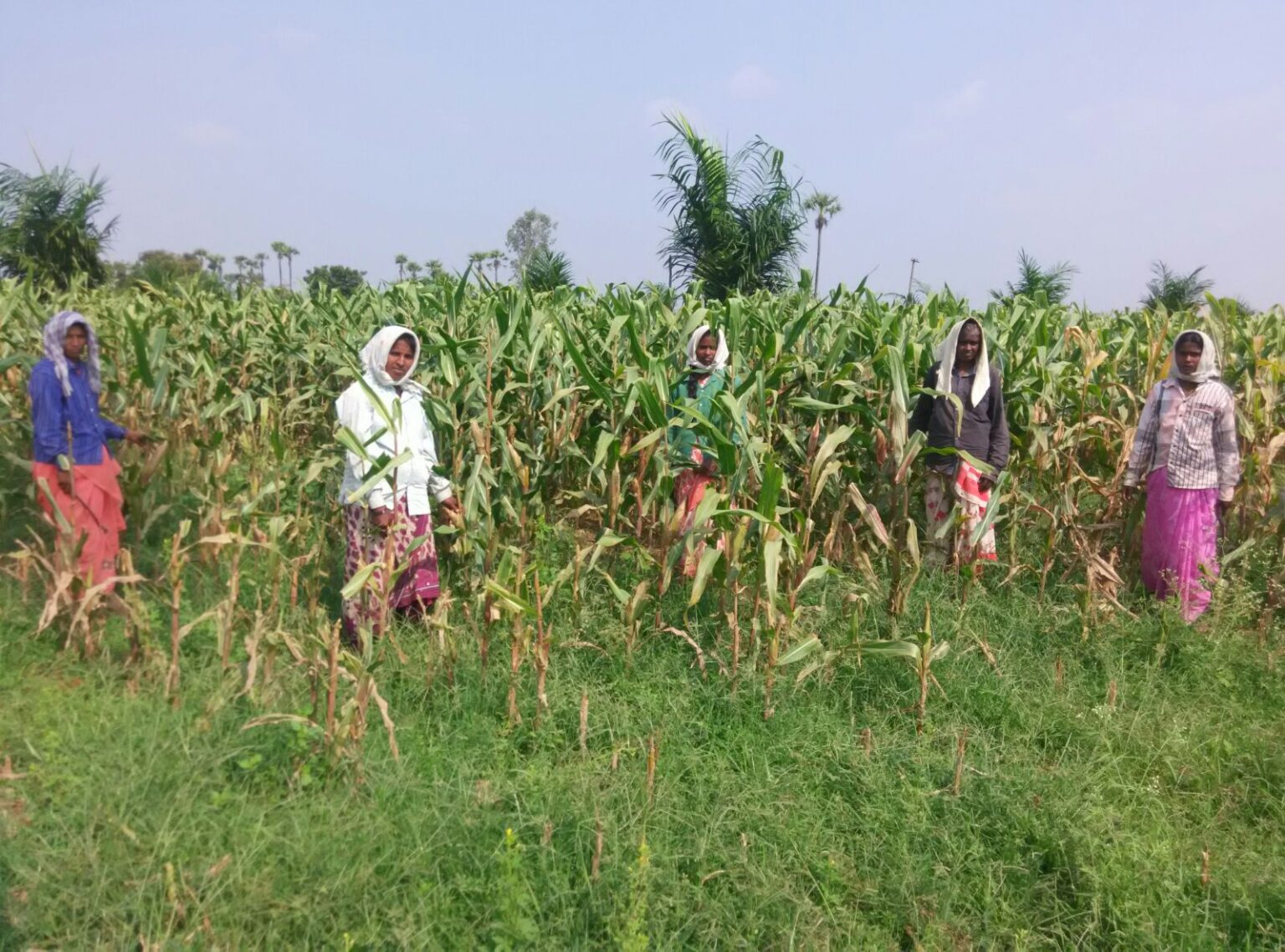 Home - Fair Labor Association