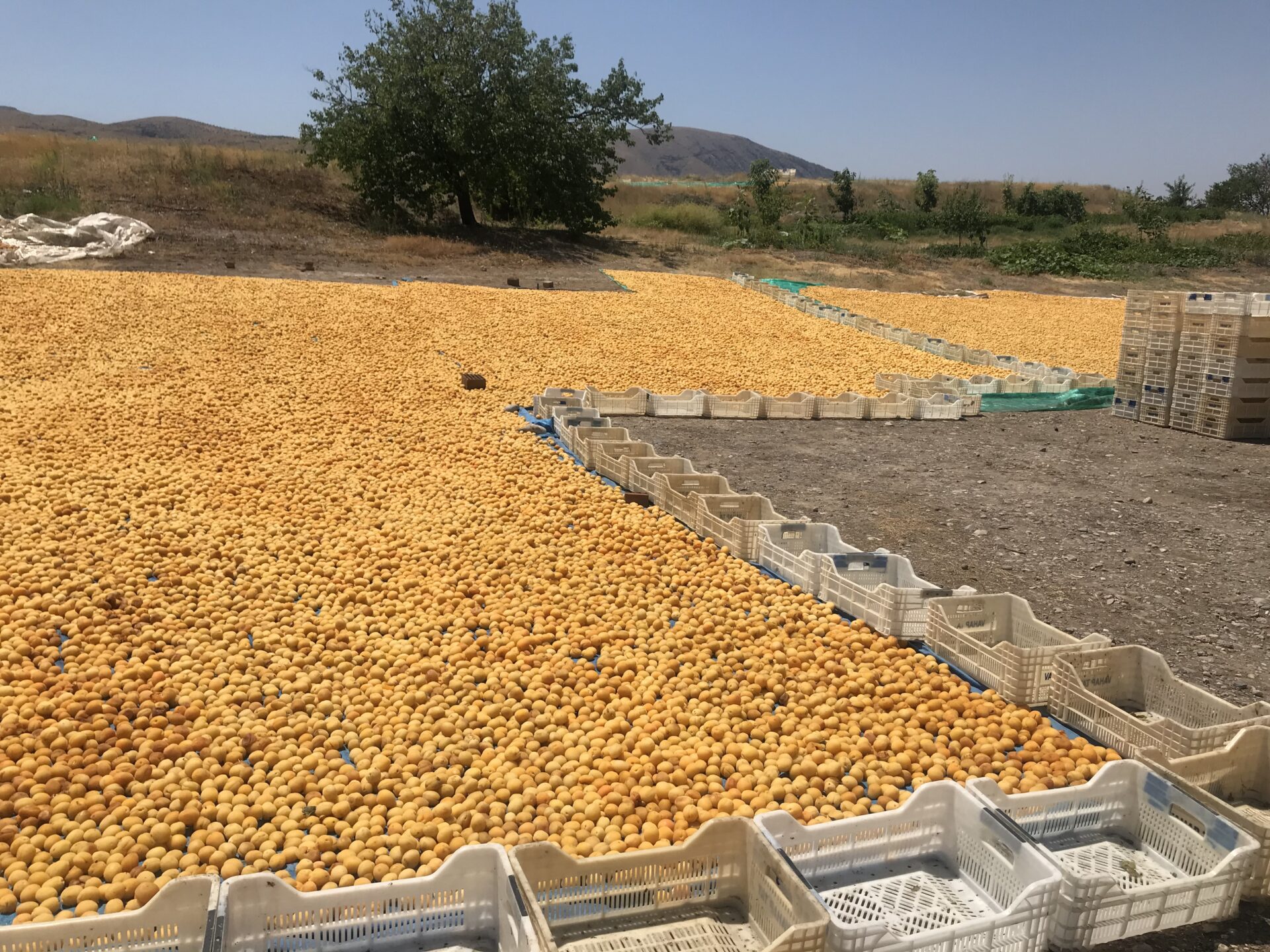 About Us - Fair Labor Association