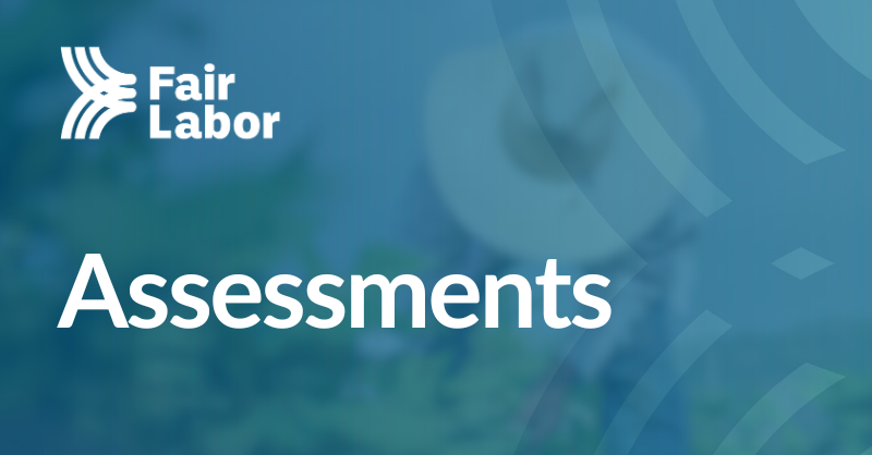 Assessment of ofi’s Village Savings & Loan Association Programs